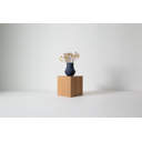 Kalon Studios Cube + Void Cube | Perigold